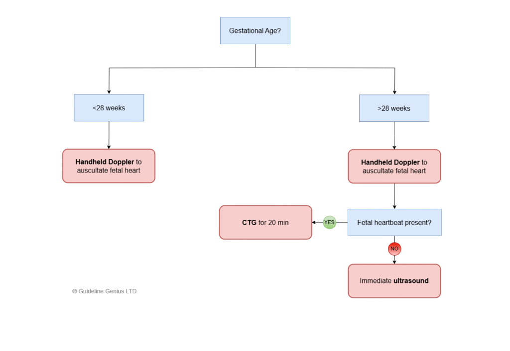 Reduced Fetal Movement (RFM) - Guideline Genius