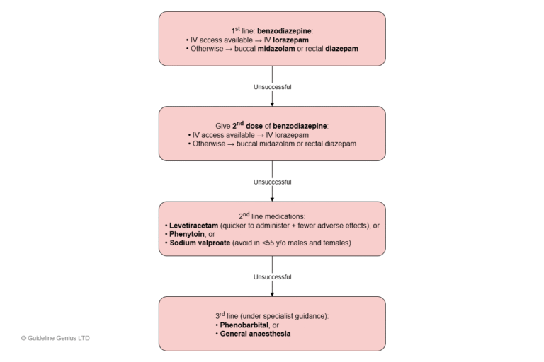 Status Epilepticus | UKMLA Guide