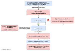 Newborn Life Support (NLS) | UKMLA Guide
