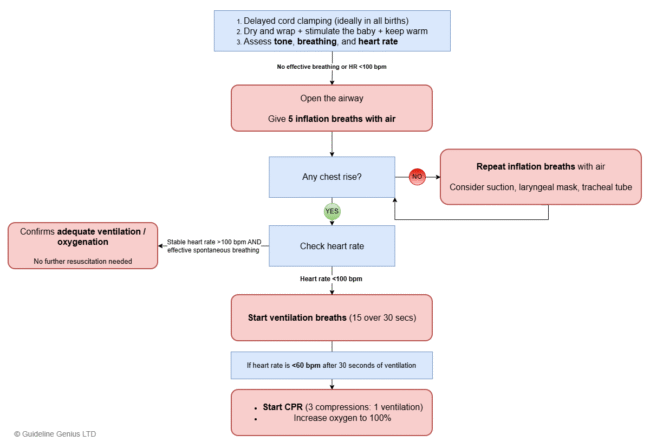 Newborn Life Support (NLS) | UKMLA Guide